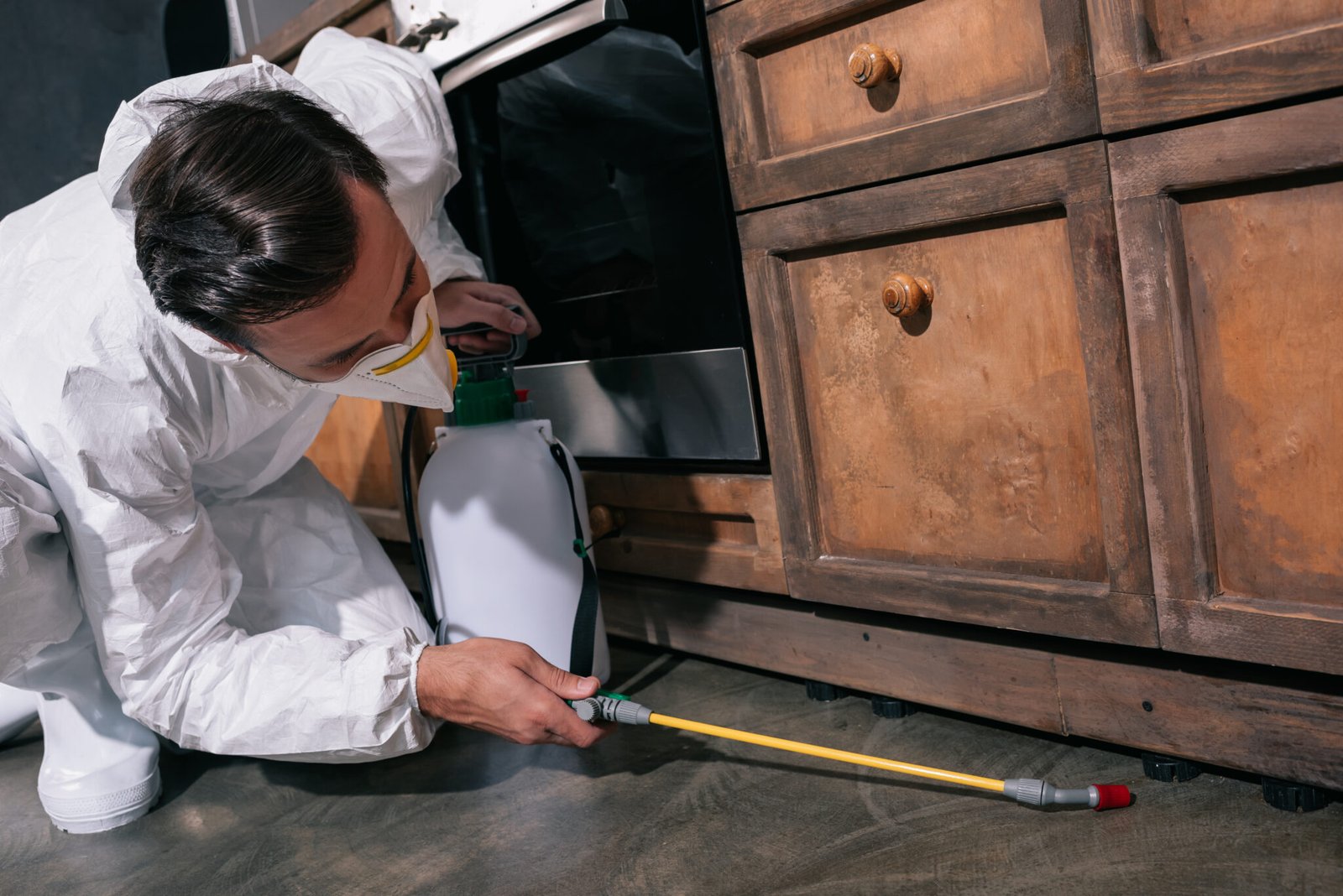 Pest Inspection – Ecology Pest Control